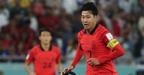 16강 기적 태극전사 출전비 188억 확보8강땐 보너스 2억