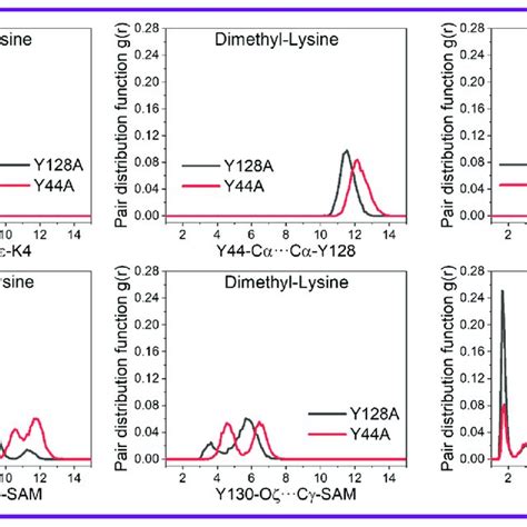 Plots Of The Pair Distribution Functions For Selected Distances