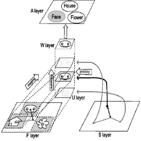 Object Based Attention When An Object Class Face Is Evoked In A The Download Scientific