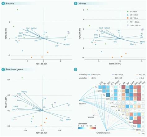 The Innovation Life 基于宏基因组方法的青藏高原多年冻土微生物群落和功能基因研究 腾讯新闻