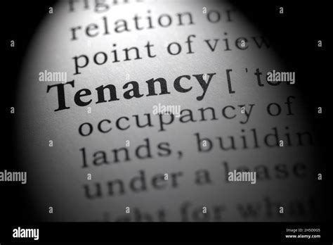 Fake Dictionary Word Dictionary Definition Of Tenancy Stock Photo Alamy