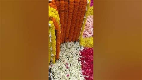 ගිජ්ඣකූට පර්වතයේ බුදුරජාණන් වහන්සේ වැඩසිටි සුගන්ධ කුටිය Youtube