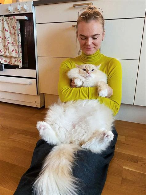 Legs Spread Wide Scrolller