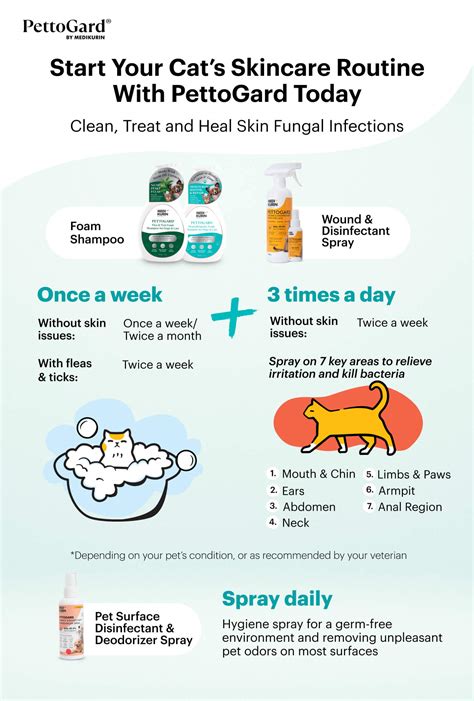 Fungal Infections In Cats Tips For Prevention And Treatment Medikurin