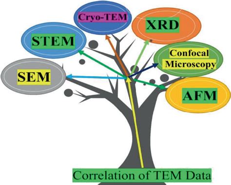 Ideal Tem Imaging Analysis And Troubleshooting Tricks Springer
