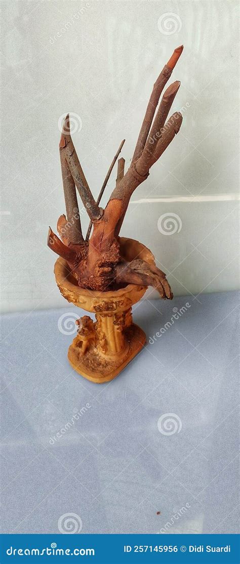 The Root Of The Parasite Tree With A Unique Texture Has An Abstract