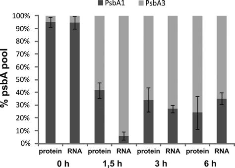 Relative Protein And Transcript Quantification Protein And Transcript