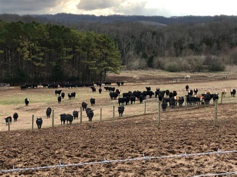 Jason De Koff On Linkedin Drone