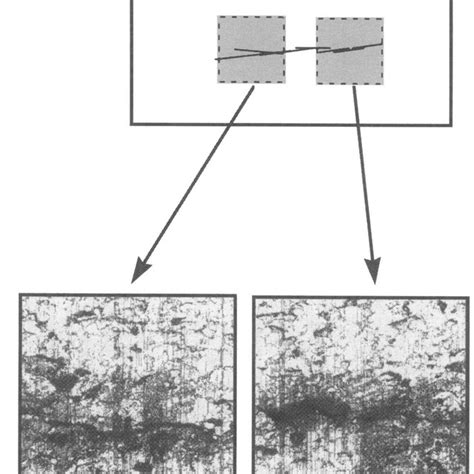 Microscopic Surface Openings Of A A Major Surface Breaking Defect Download Scientific Diagram