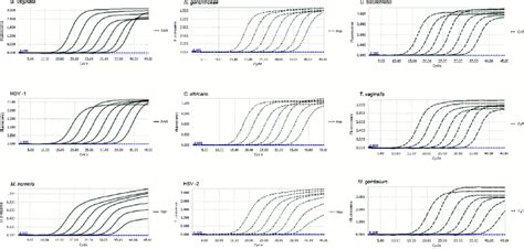 Amplification Plots Of In House Real Time Pcr Assay Using