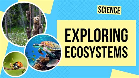 Exploring Ecosystems Science Lesson Youtube