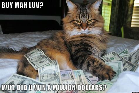 The Best [cat] Money Memes For 2019