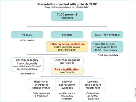 Syncope Cardio Guide