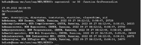 Gcp Automation Single Click Vm Deployment With S Sap Community