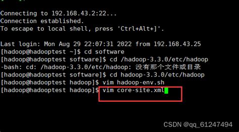 Linux 部署hadoop伪分布式集群教程xsell输入vim Core Sitexml Csdn博客