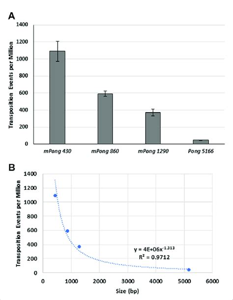 The Effect Of Element Size On Excision Frequency A Yeast