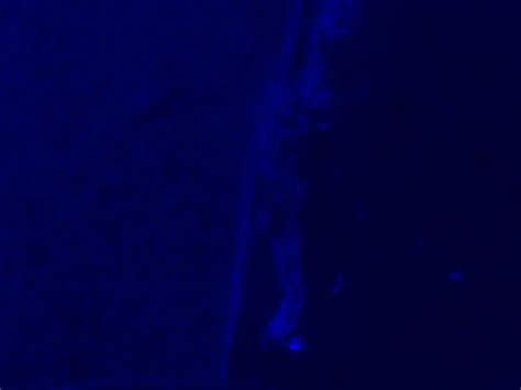 Nikon Eclipse E600 Upright Fluorescence Motorized Microscope New