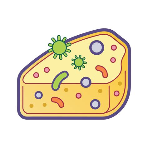 Microbial Fermentation In Cheese Production 59094275 Vector Art At Vecteezy