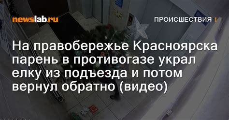 На правобережье Красноярска парень в противогазе украл елку из подъезда