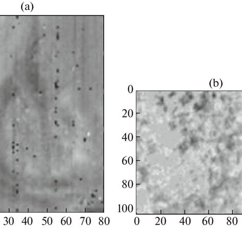Examples Of The Input Data Download Scientific Diagram