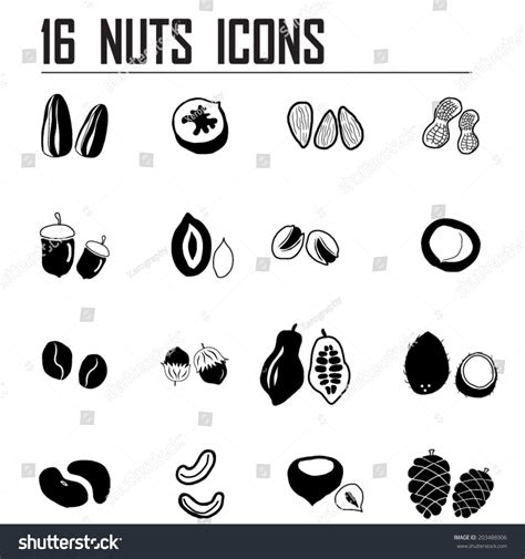 Nuts Icon Set Stock Vector 203488906 Shutterstock