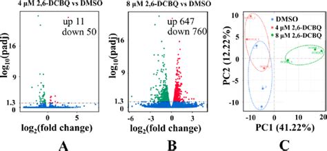A B Volcano Map Of The Differential Gene In Transcriptome Analysis