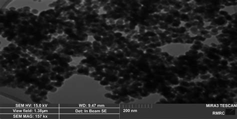 Scanning Electron Micrograph Sem Image Of Tio2‐nps Download Scientific Diagram