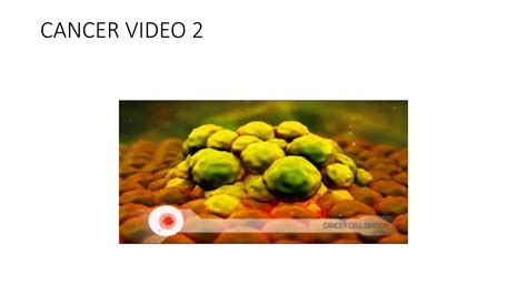 Totipotency Pluripotency And Cancerpptx