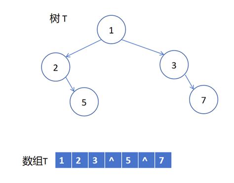 二叉树的性质和分类 知乎
