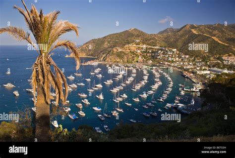 Avalon Ca Usa Harbor And Town Of Avalon Santa Catalina Island