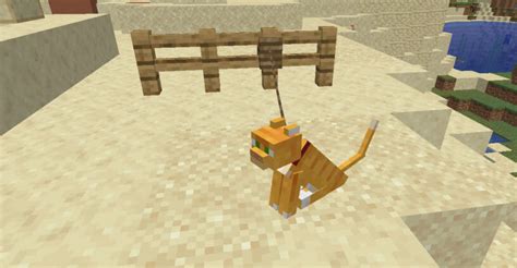 Comment Apprivoiser Un Chat Dans Minecraft