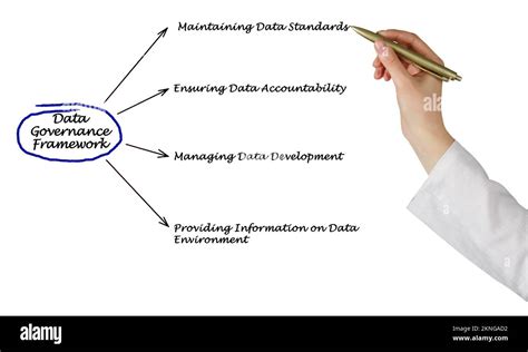 Woman Presenting Data Governance Framework Stock Photo Alamy