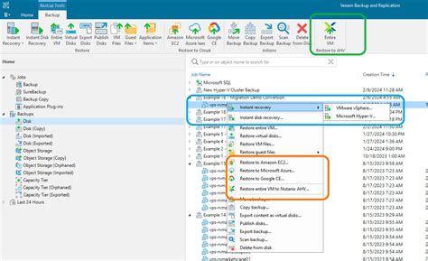 Veeam Comprehensive Virtual Platform Support