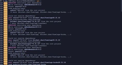 Not Enough Information In Documentation To Start Development · Issue 210 · Rocketchat