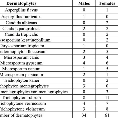 Pdf Isolation And Identification Of Dermatophytes Causing