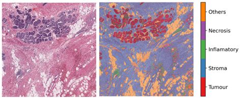 jupyter notebooks tia toolbox 1 6 0 documentation