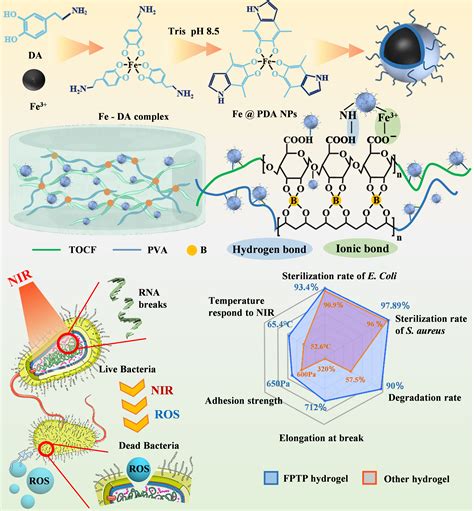 Multifunctional Nanocellulose Hydrogels Featuring Superior Injectability Self Healing Adhesion