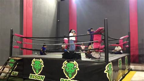 Bison Courts Home Facebook