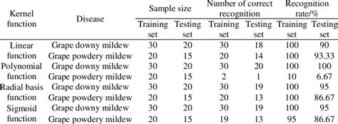 Results Of Image Recognition Using The Svms With Different Kernel