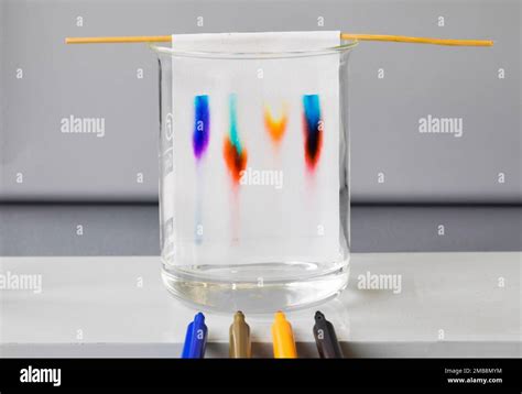 Chromatography Separation Techniques In Chemistry At Martin Loya Blog
