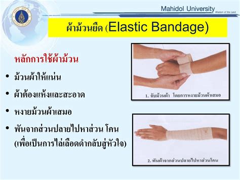 การปฐมพยาบาลเบื้องต้น Thanyathip Nopphakit หน้าหนังสือ 74 พลิก Pdf ออนไลน์ Pubhtml5