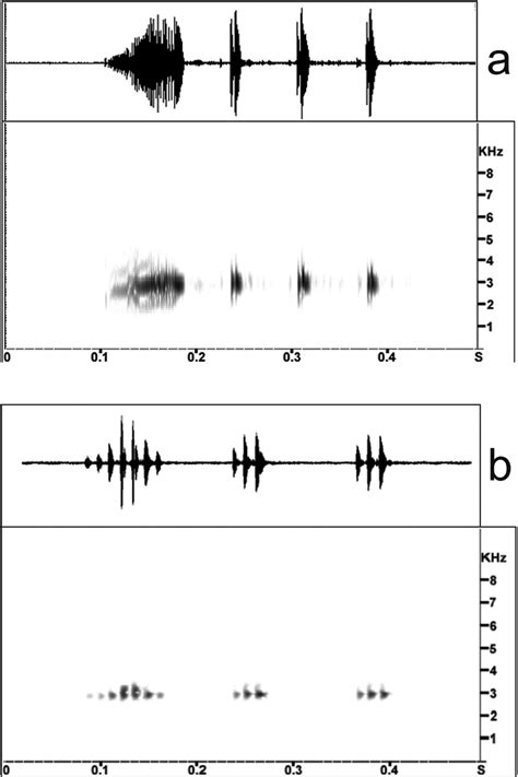 A Sound Spectrogram And Corresponding Oscillogram Above Of An Download Scientific Diagram