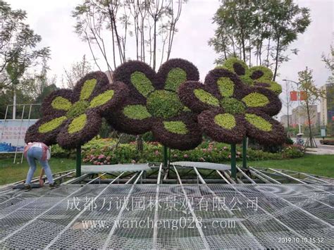 植物雕塑 仿真绿雕 植物造型 垂直绿化 景观小品 植物墙 五色草造型 立体花坛 成都万诚园林景观有限公司