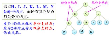 【数据结构】树和二叉树1——树倒悬树 Csdn博客