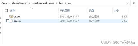 Win10下安转elasticsearch686与配置安全策略 开启密码账号访问windows Elasticsearch 686