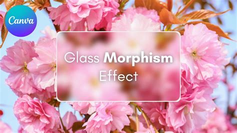 How To Create Glass Morphism Effect In Canva Youtube