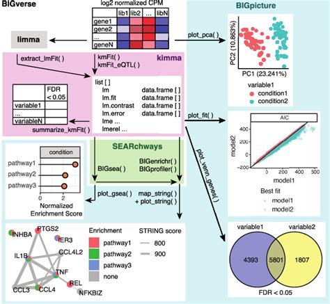 Bigverse Workflow Log2 Normalized Counts Per Million Cpm Gene Download Scientific Diagram