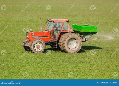 Farmer In Tractor Fertilizing Wheat Field At Spring With Npk Stock