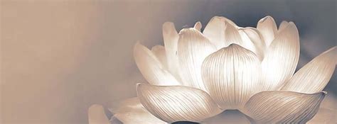 16 Pretty Wallpapers Ideas In 2025 Pretty Wallpapers Cute Headers