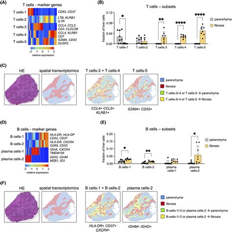Spatial Transcriptomics Identifies Enriched Gene Expression And Cell Types In Human Liver